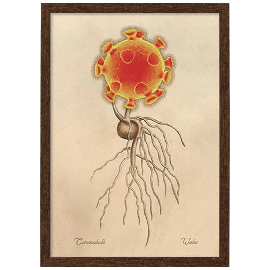 Covid Bulb 1 | David Art Wales